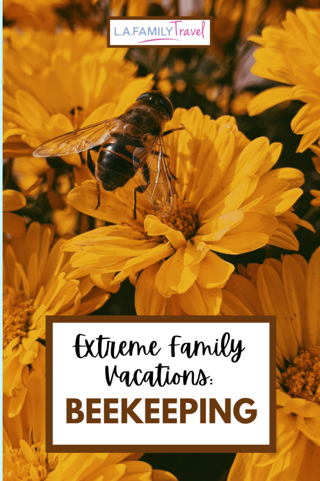 Extreme Family Vacations: Beekeeping - LA Family Travel