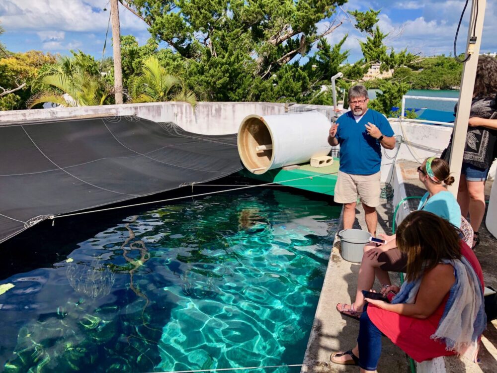 The Best Things To Do With Kids in Bermuda - LA Family Travel