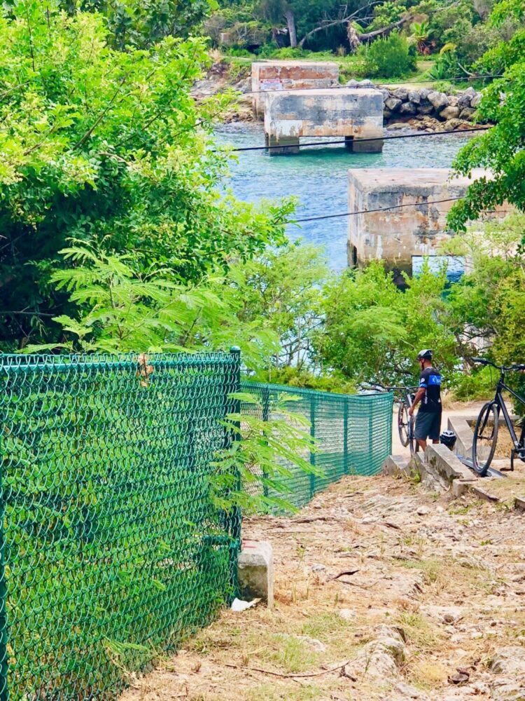 The Best Things To Do With Kids in Bermuda - LA Family Travel