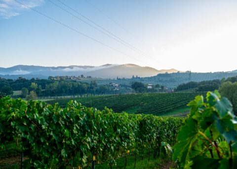 A Local’s Guide To The Best Family Activities In Florence - LA Family ...