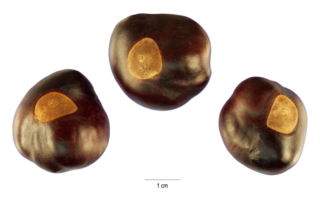 A Guide to Family Friendly Columbus - LA Family Travel