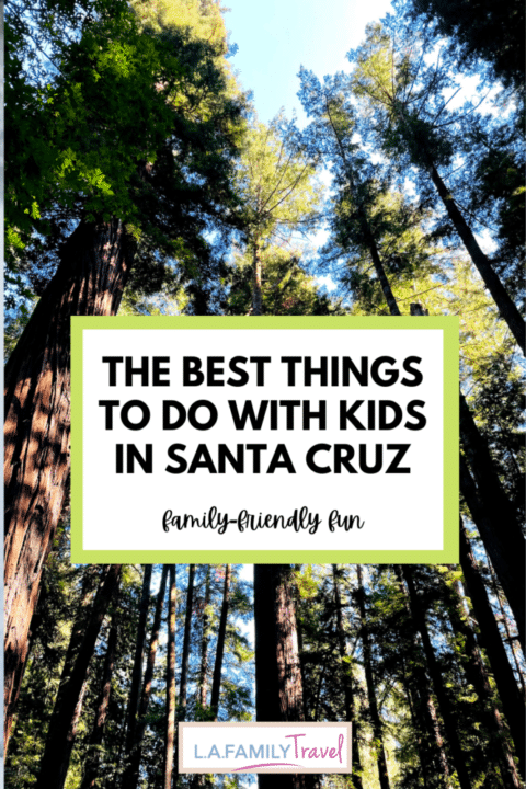 Don't Miss These Best Things To Do in Santa Cruz With Kids! - LA Family ...