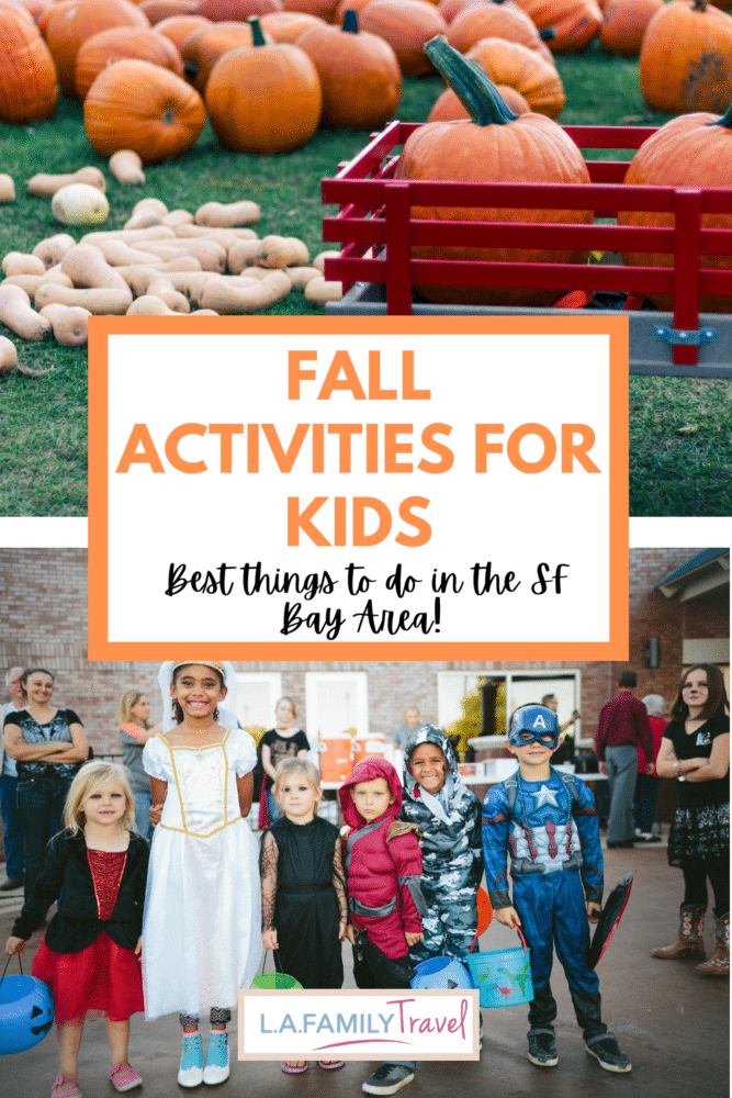 Fall in the San Francisco Bay Area: Best Things to Do with Kids 2024 ...