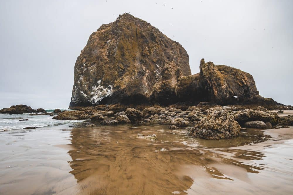 Hidden Oregon: Coastal Spring-Break Family Getaway - LA Family Travel