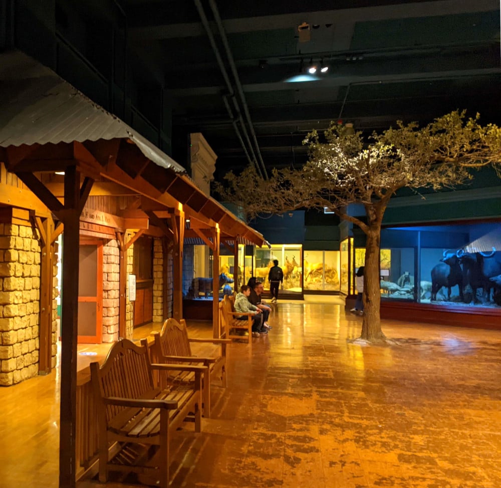 Why the Field Museum Is the Best Kids Museum in Chicago - LA Family Travel