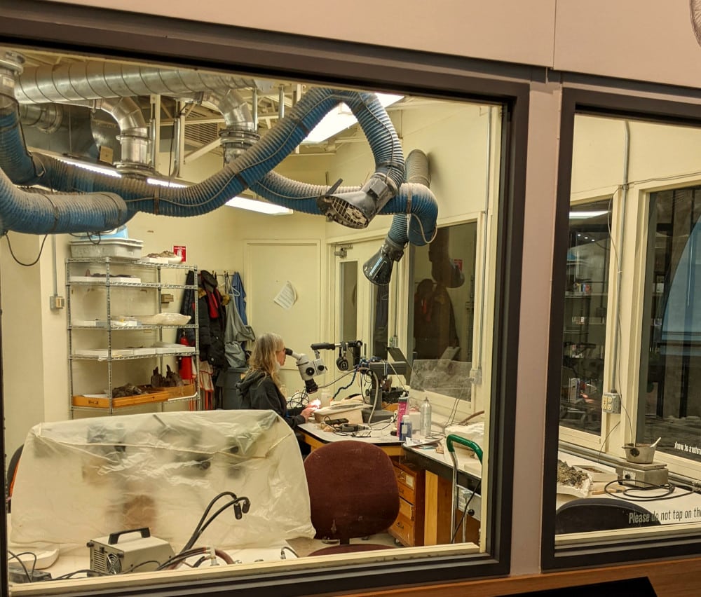 Why the Field Museum Is the Best Kids Museum in Chicago - LA Family Travel