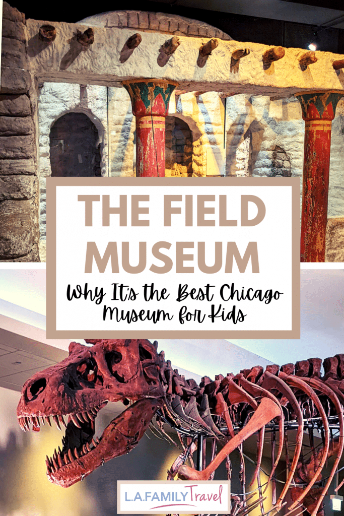 Why the Field Museum Is the Best Kids Museum in Chicago - LA Family Travel