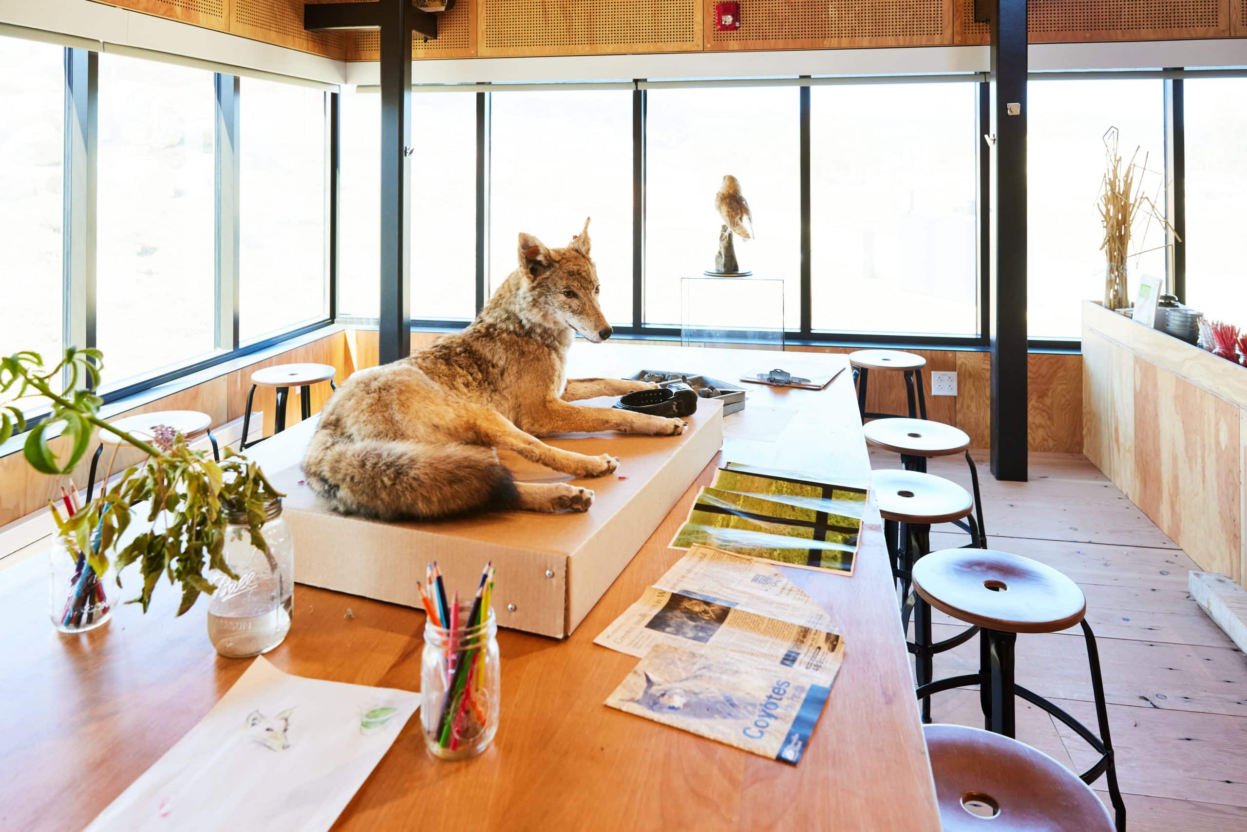 Unbelievable Presidio Tunnel Tops - The Nation's Newest National Park ...