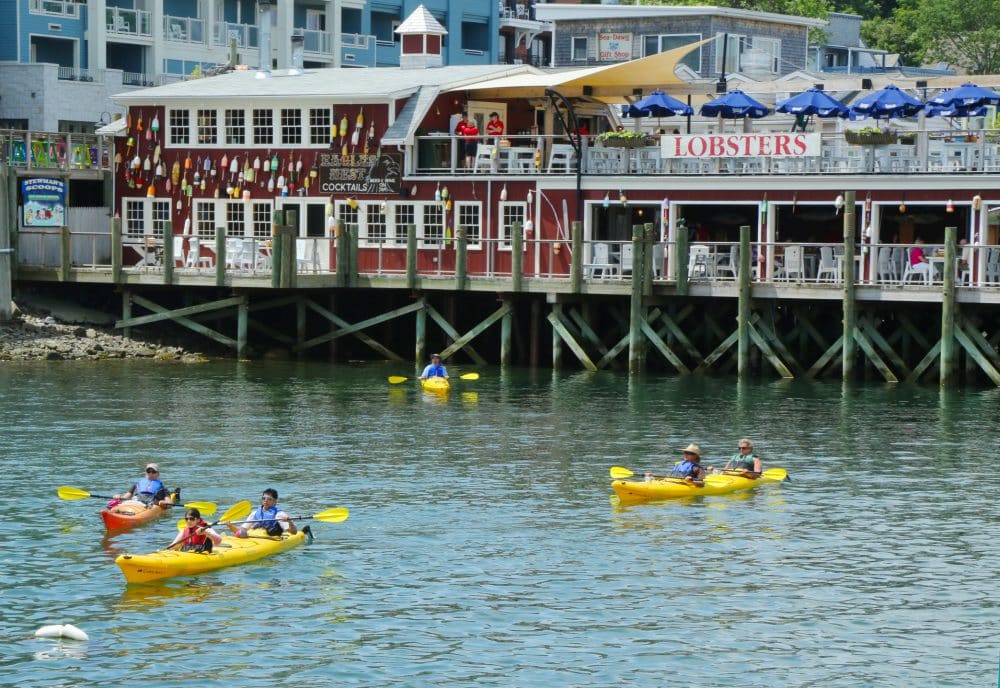 Top 10+ Things To Do With Kids In Bar Harbor, ME - LA Family Travel