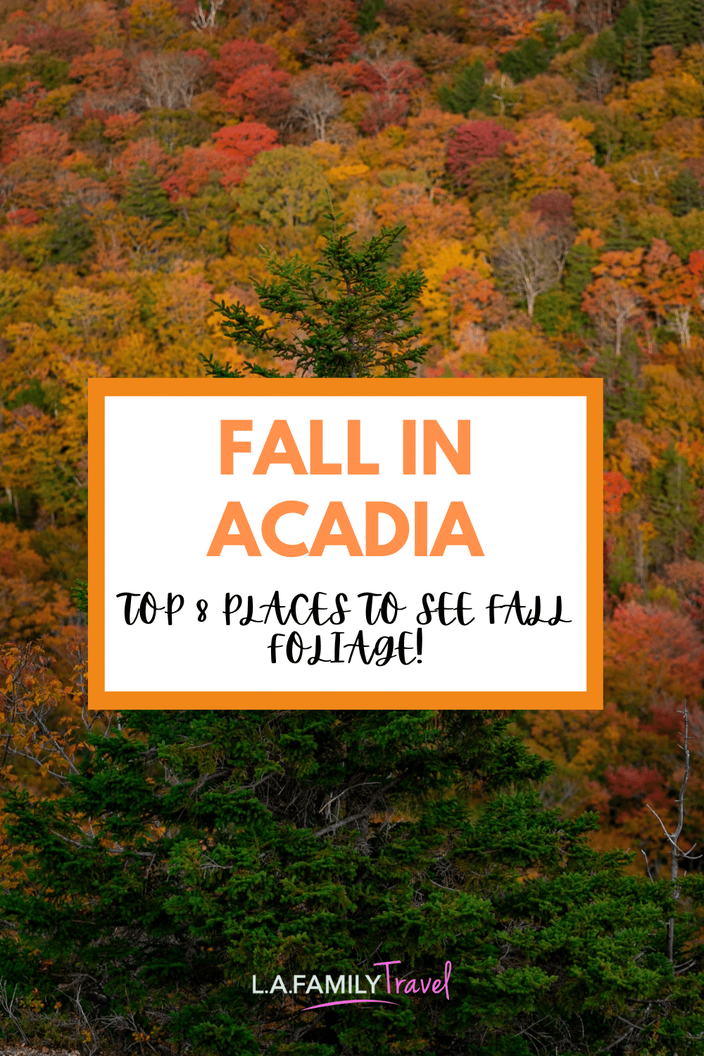 Top 8 Places To See Beautiful Fall Foliage in Acadia National Park With ...