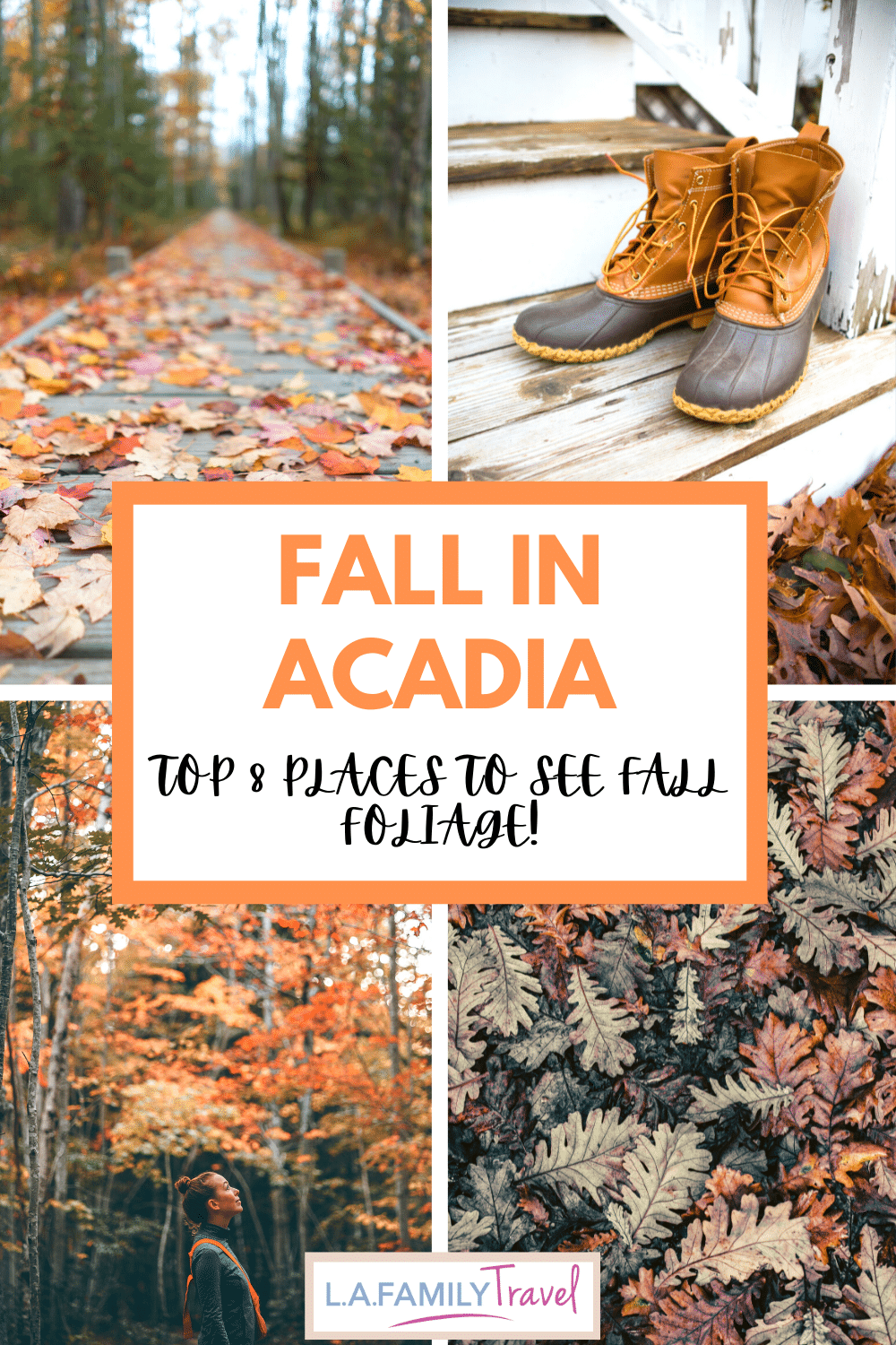 Top 8 Places To See Beautiful Fall Foliage in Acadia National Park With ...