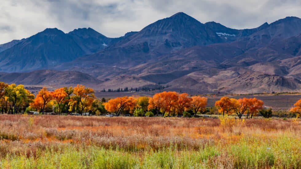 8 Incredible Fall Getaways in California for Families - LA Family Travel