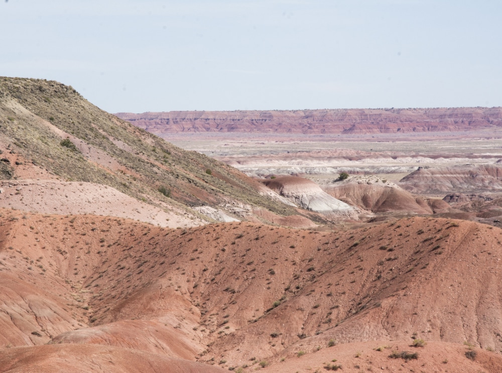 A Quick Guide to Visiting Petrified Forest National Park - LA Family Travel