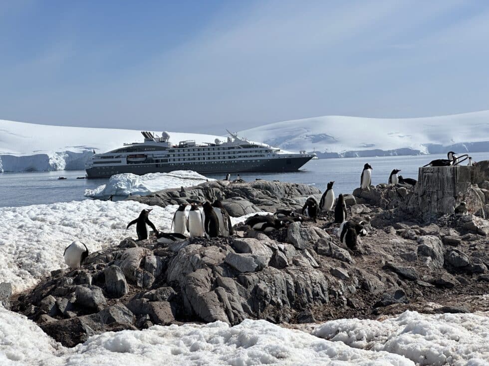 Disney on Ice: How We Explored Antarctica with Adventures by Disney ...