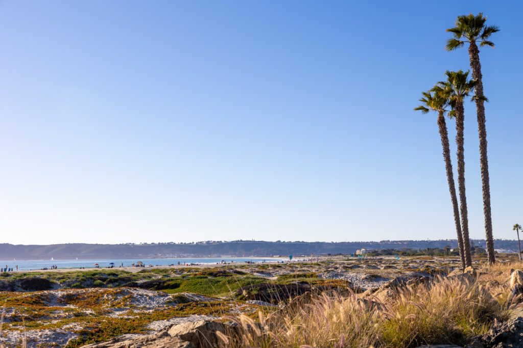 Travel Experts Share Their 25 Favorite Beaches In California For ...