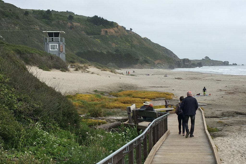 Travel Experts Share Their 25 Favorite Beaches In California For ...