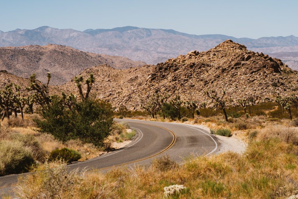 Joshua Tree National Park For Families: Epic Views, Easy Trails, and ...