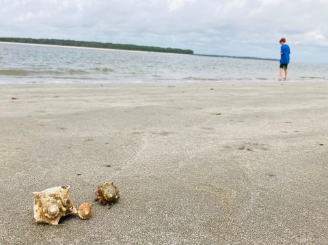 8 Best Beaches Near Charleston, SC Your Family Will Love! - LA Family ...