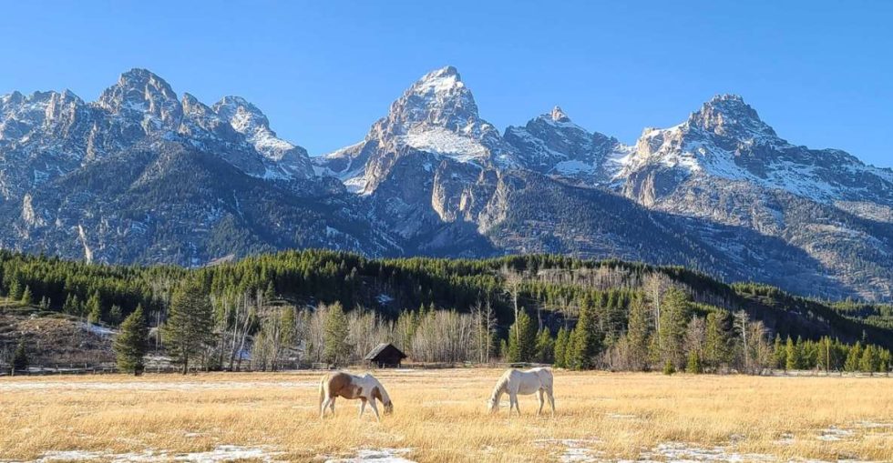 These 10 Dude Ranches Are 'Yellowstone' In Real Life, Packed With ...