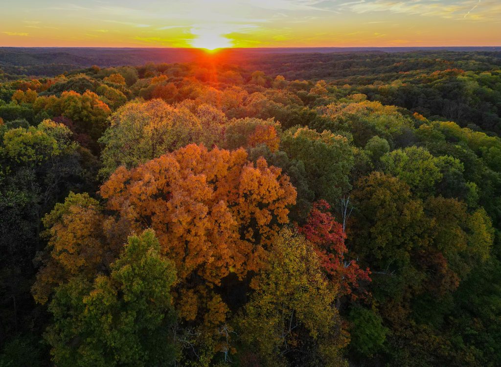 Discover Brown County State Park In Fall: Indiana’s Little Smokies - LA ...