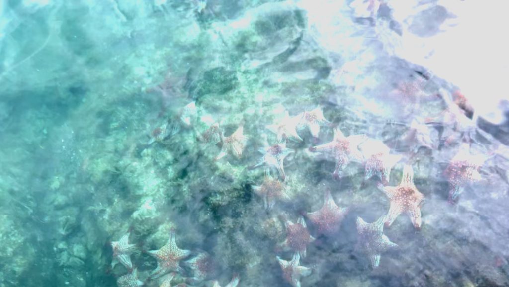 Cruise to Baja Mexico: The Perfect Family Vacation for Teens - LA ...