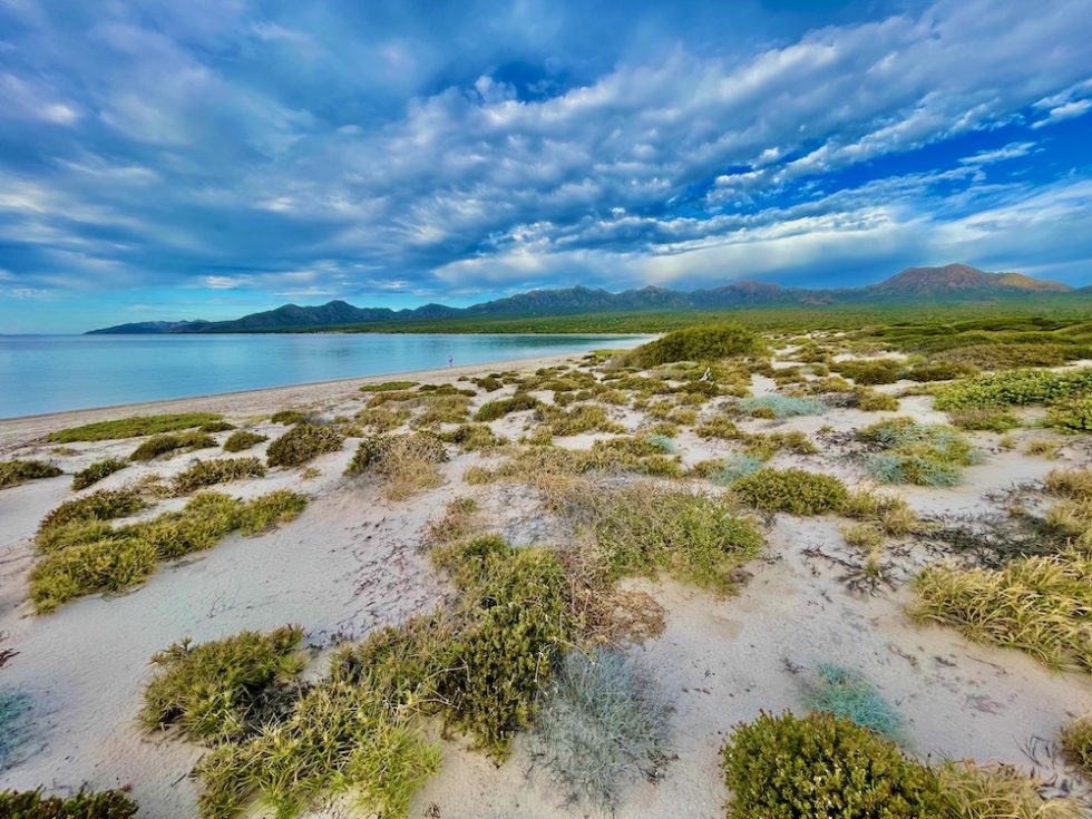 Cruise to Baja Mexico: The Perfect Family Vacation for Teens - LA ...