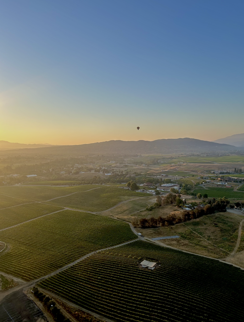 Ultimate Temecula Valley Wine Tasting & Food Pairing Guide For First ...