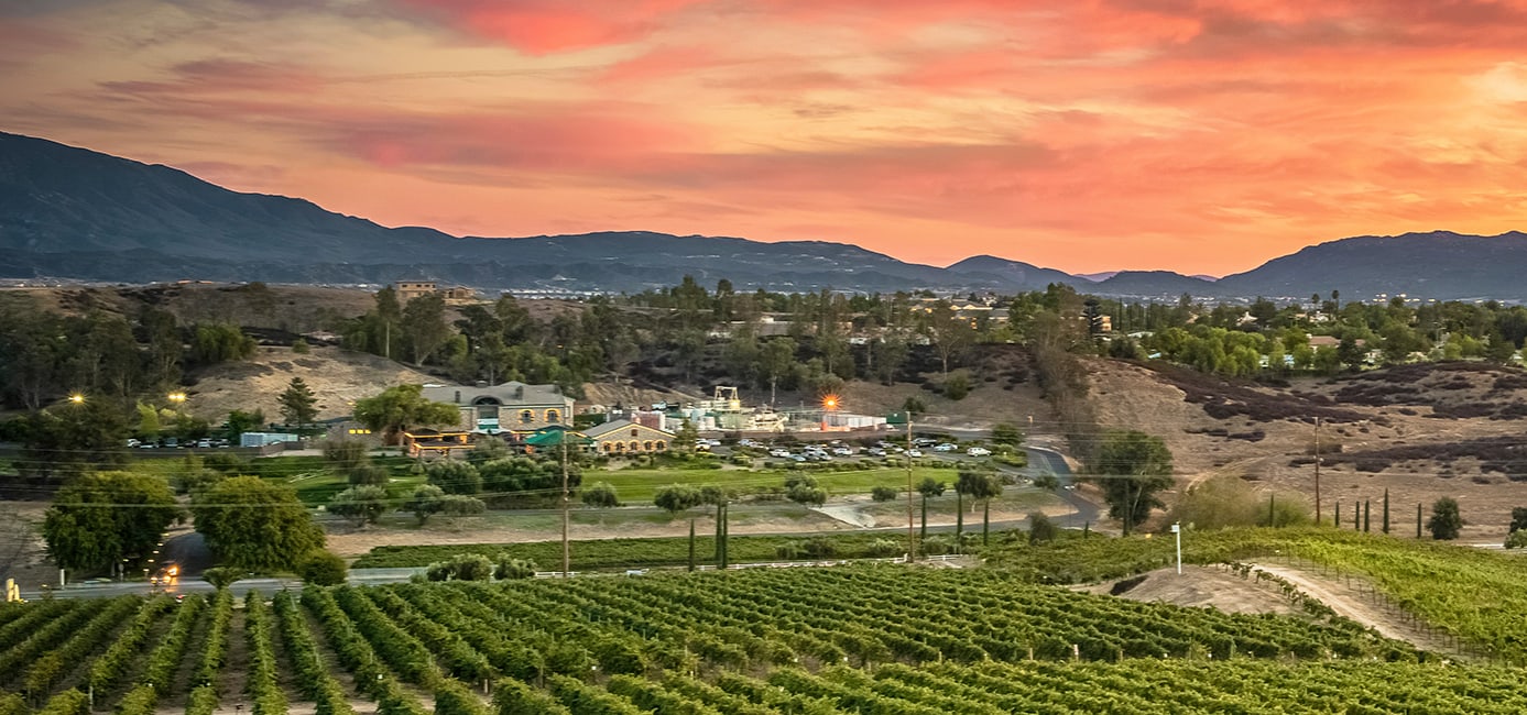 Ultimate Temecula Valley Wine Tasting & Food Pairing Guide For First ...