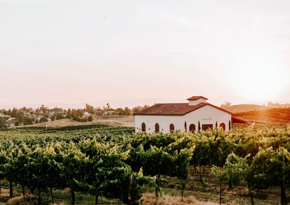 Ultimate Temecula Valley Wine Tasting & Food Pairing Guide For First ...