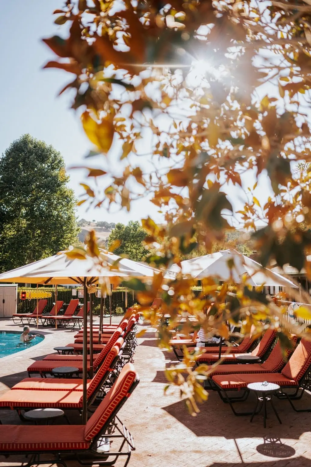 This California Ranch In The Santa Ynez Valley Is Perfect For Cowkids ...