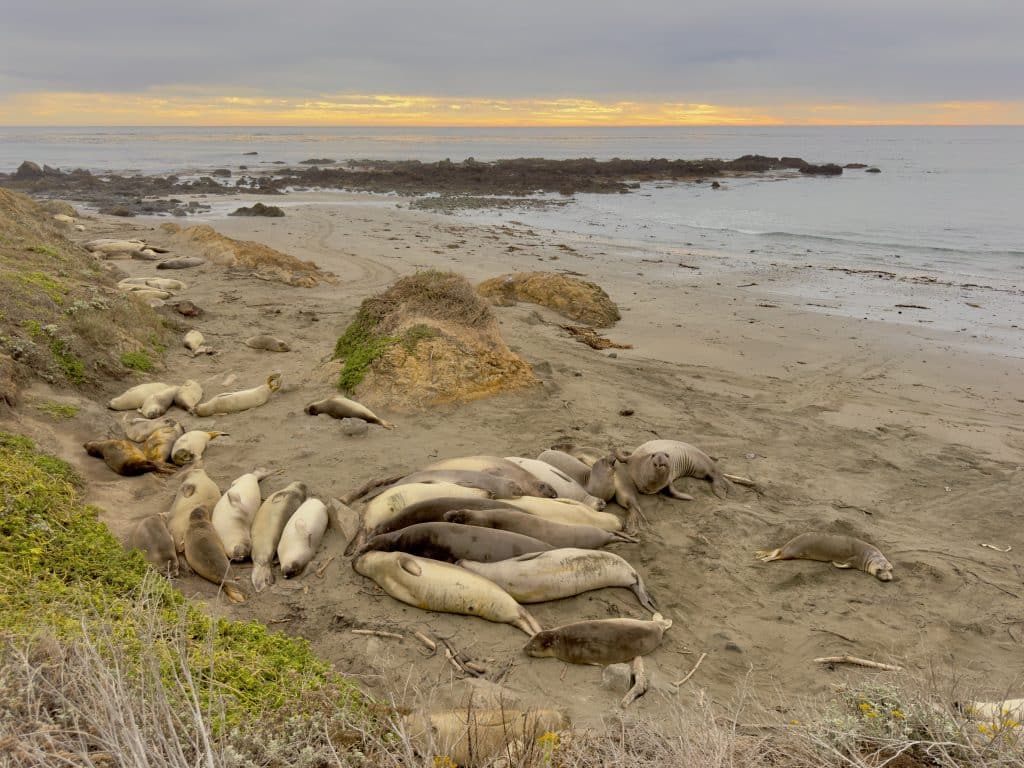 Spring Break in California: 8+ Best Places for Family Fun - LA Family ...