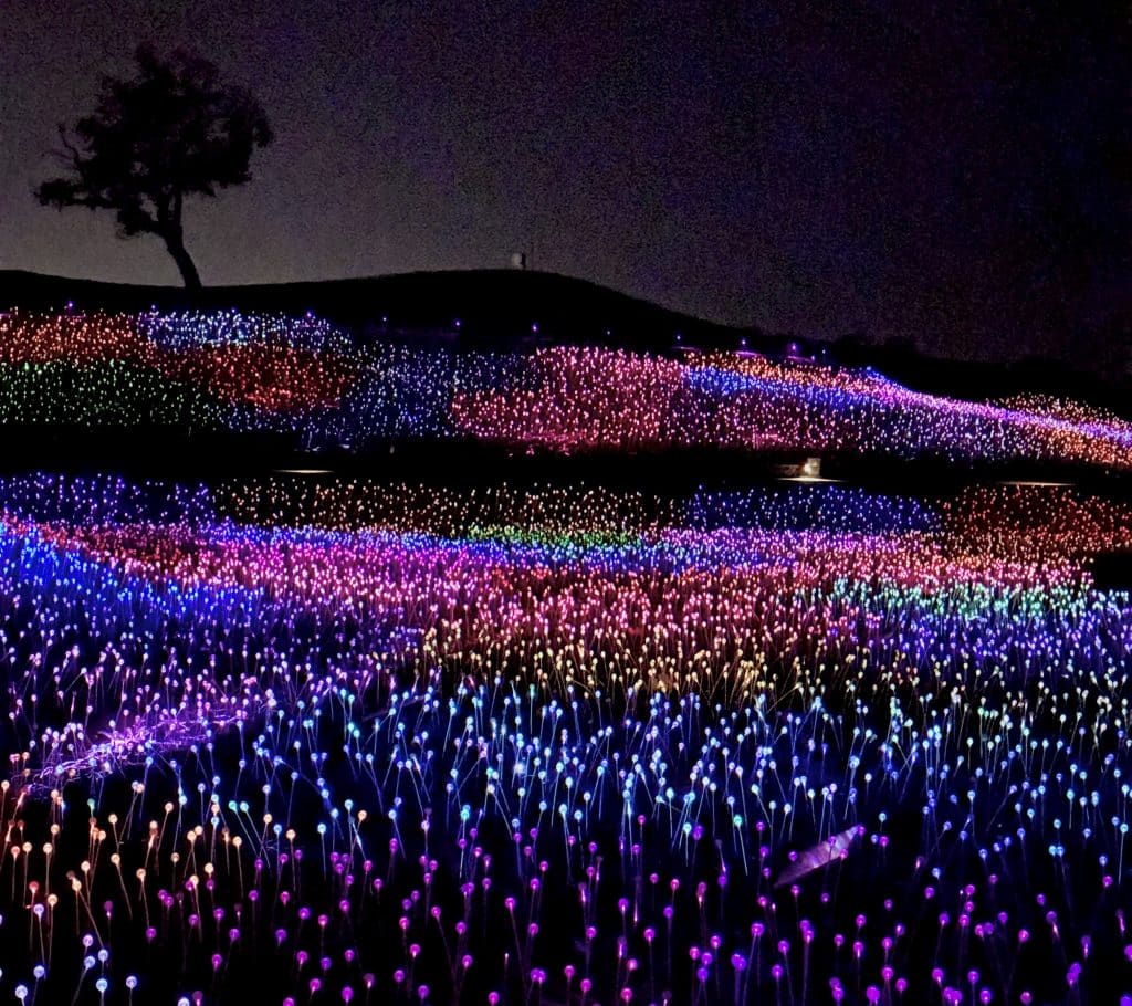 Spring Break in California: 8+ Best Places for Family Fun - LA Family ...