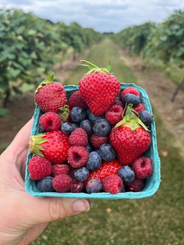 A Girlfriend's Guide to the Indiana Peony Festival - LA Family Travel