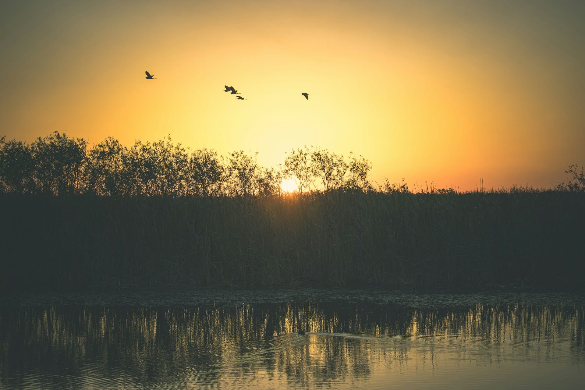 14+ Things to Do in Everglades National Park for a Family Adventure ...