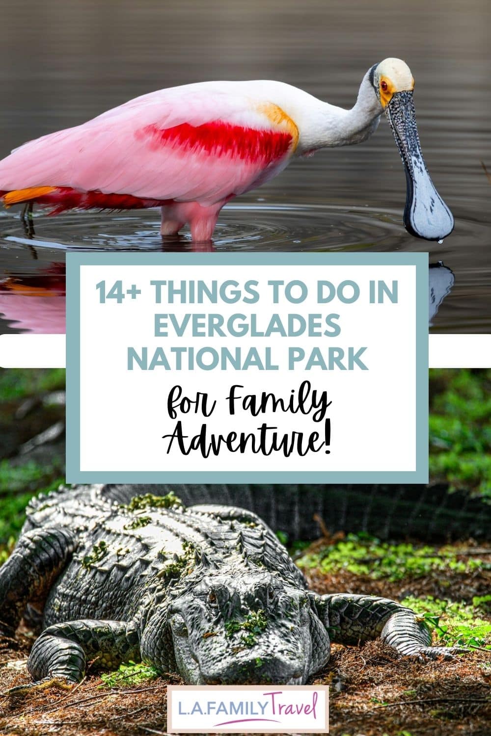 14+ Things to Do in Everglades National Park for a Family Adventure ...