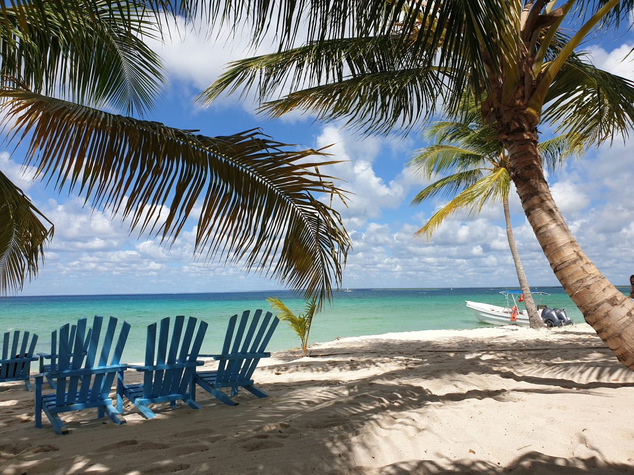 Best Beaches in Antigua for Families: 13 Hidden Gems and Popular ...